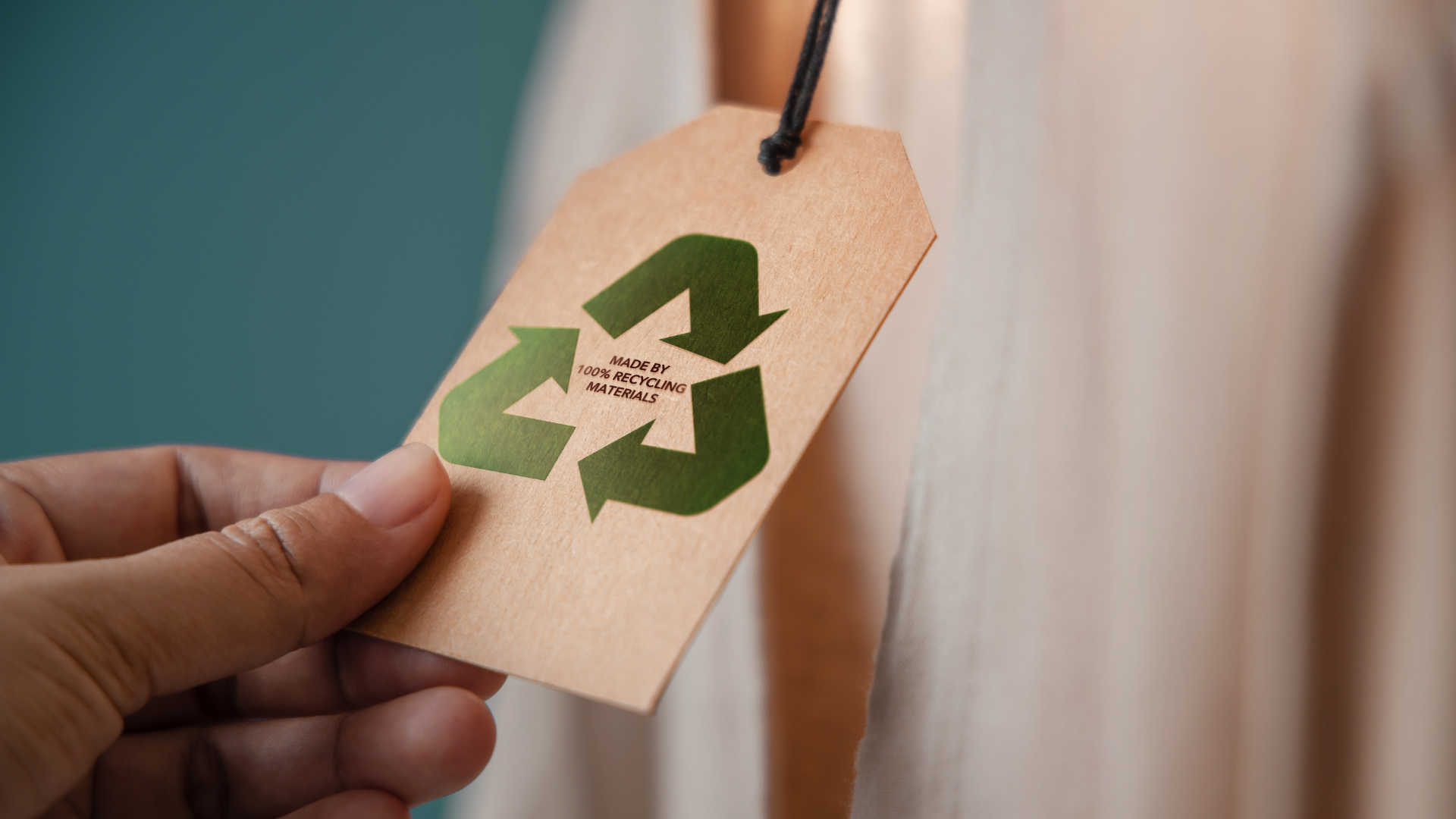 Greenwashing vs. True Sustainability: How to Spot the Difference ...